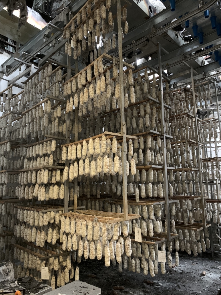 Désinfection de l’air pour site industriel près de Lyon